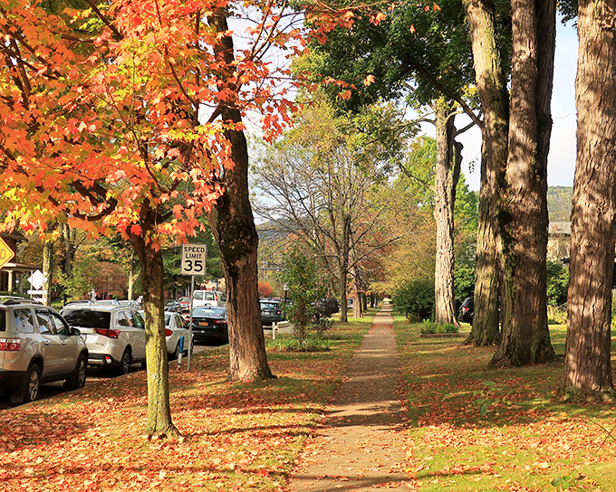 Fall transforms Warren's tree-lined streets into a canvas of crimson and gold, offering seasonal beauty that would cost a fortune in leaf-peeping tours elsewhere.