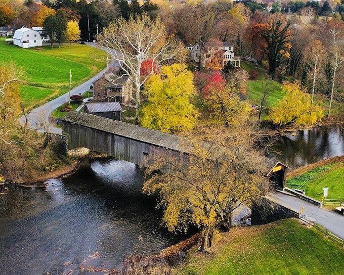 Fall foliage frames the bridge like nature's own Instagram filter, no app required for this level of gorgeous.