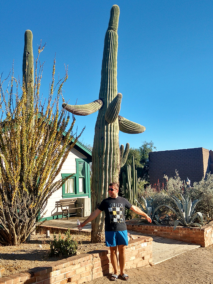 Towering saguaro cacti remind visitors they're in authentic Sonoran Desert territory&mdash;these green giants have witnessed centuries of Southwestern history unfold.