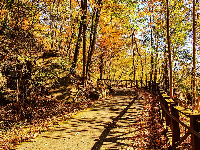 Autumn's golden hour transforms ordinary paths into enchanted corridors. The crunch of leaves underfoot provides nature's perfect ASMR experience.