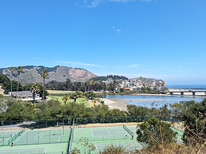 Tennis courts with the best distraction in sports. "Sorry, missed that serve – was watching dolphins in the bay."