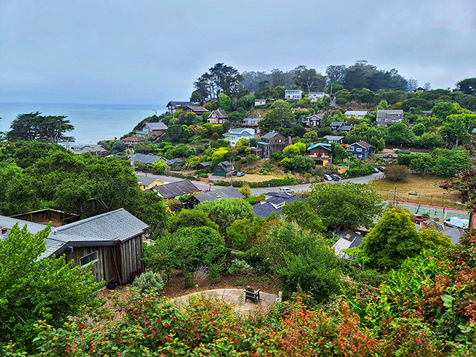 Morning mist embraces Bolinas homes like a gentle hug, creating that moody coastal atmosphere painters have tried to capture for centuries.
