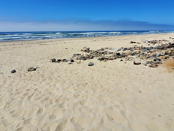 Sand that stretches for days. Cape Lookout's beaches offer that rare combination of accessibility and unspoiled natural beauty.