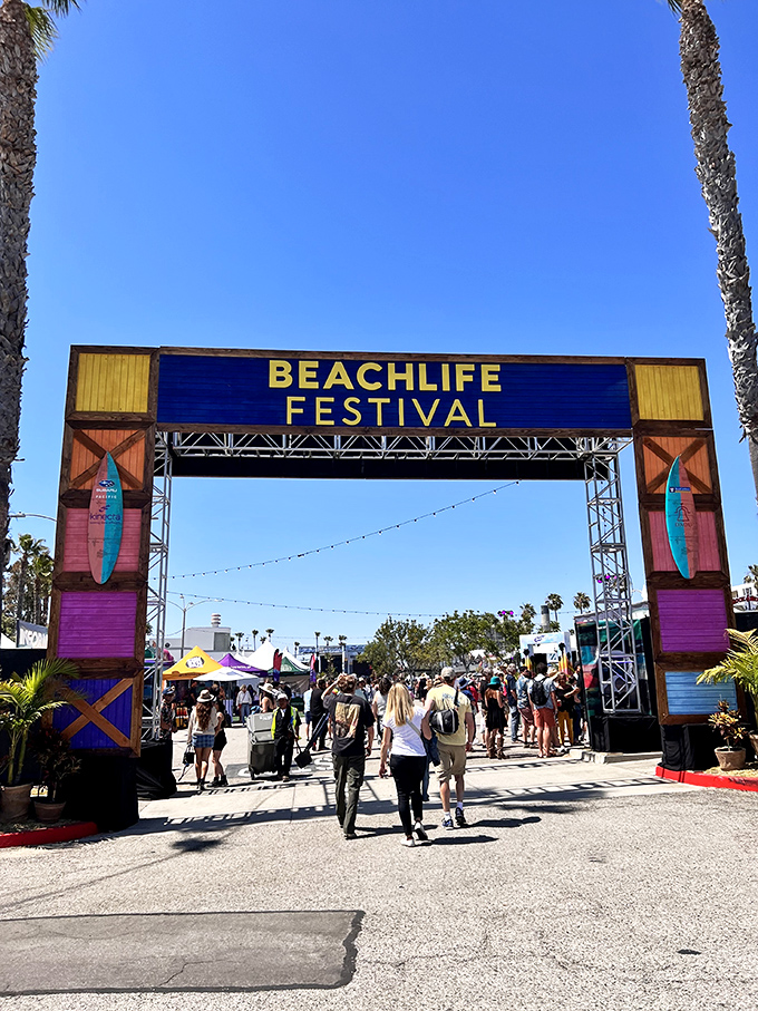 BeachLife Festival: where music meets shoreline and everyone temporarily believes they're still young enough for standing-room concerts.