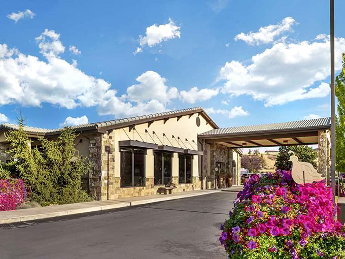 Modern comfort meets small-town hospitality at accommodations that actually care about guest experiences.