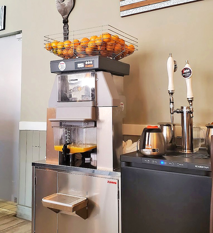 Fresh-squeezed orange juice on tap – nature's perfect morning beverage, ready to deliver sunshine in liquid form.