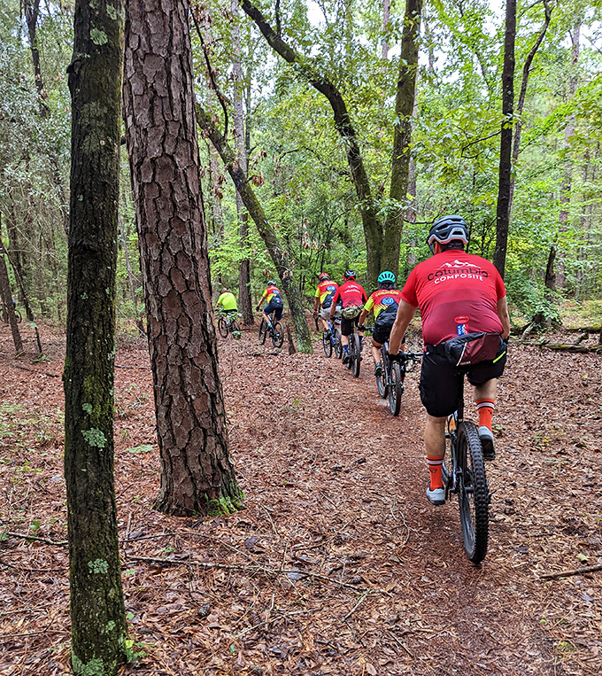 Mountain bikers navigate forest trails with the concentration of neurosurgeons and the joy of eight-year-olds on Christmas morning. 