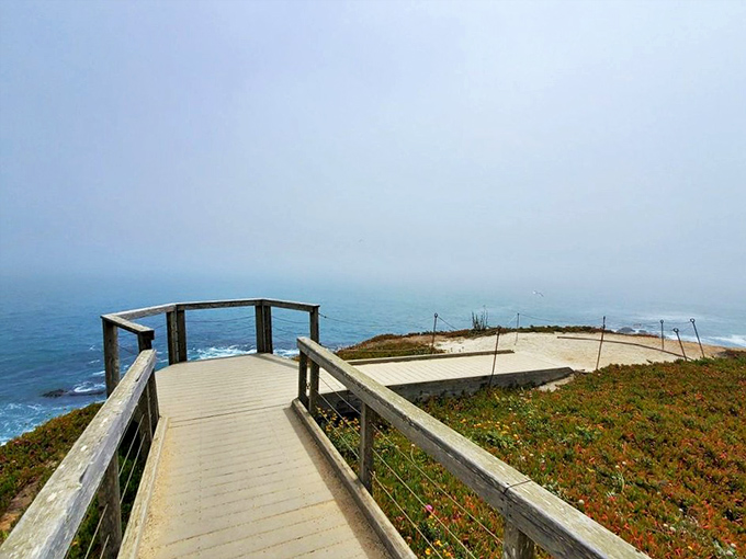 This boardwalk offers the perfect vantage point for contemplating life's big questions or just wondering what's for lunch.
