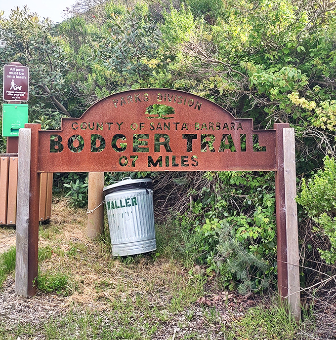 The Bodger Trail sign promises 6.7 miles of California coastal hiking without the Instagram influencers posing at every scenic overlook.