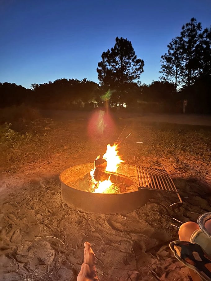 A campfire under Florida stars transforms ordinary evenings into primal magic&mdash;s'mores optional but highly recommended for the full experience.
