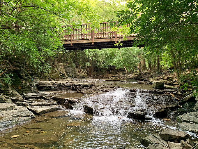 Engineering meets enchantment as this bridge offers the perfect vantage point for nature's aquatic performance below. Front row seats for everyone!