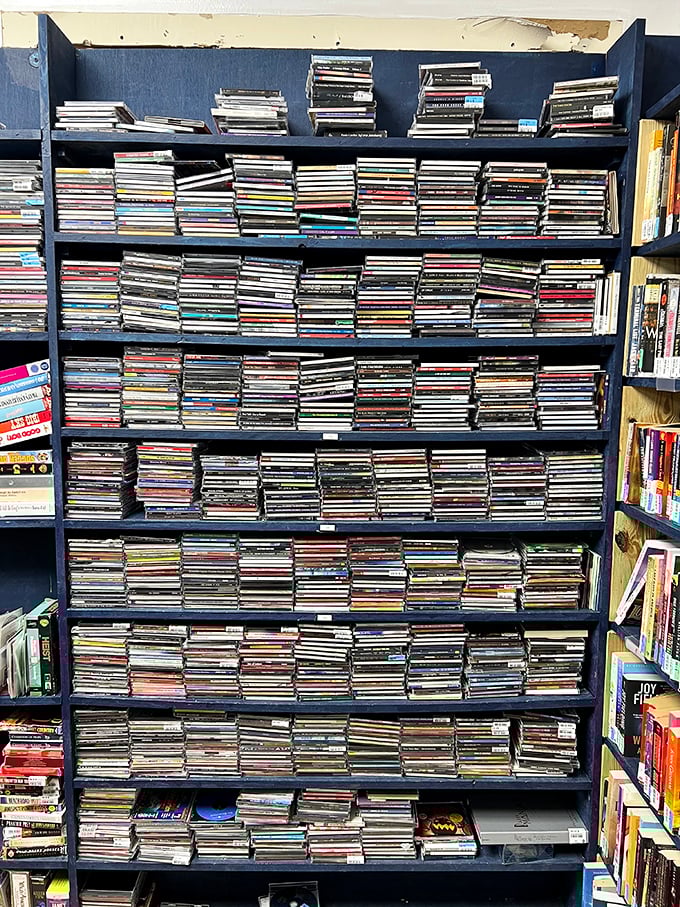 CD heaven for music lovers! Thousands of albums stacked like a physical Spotify, where forgotten favorites wait to be rediscovered for pocket change.