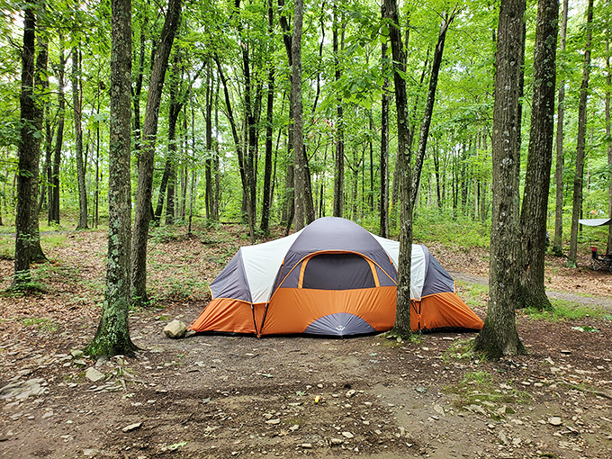 Home sweet temporary home: where canvas walls somehow feel more substantial than the concrete ones you left behind.