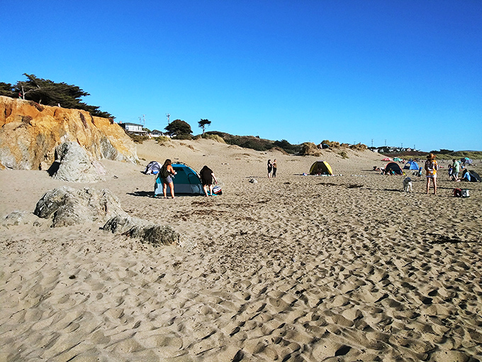 Beach camping nirvana where falling asleep to crashing waves makes you wonder why you ever bothered with white noise machines.