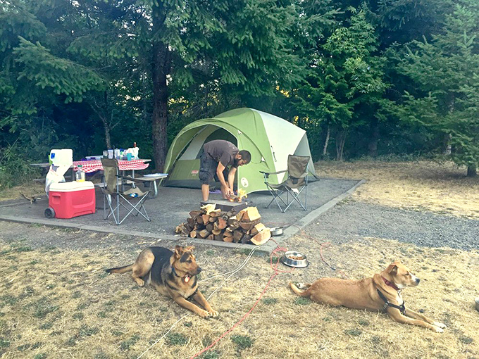 The quintessential camping scene: tent, campfire, and loyal dogs standing guard. Adventure with creature comforts is the best kind.