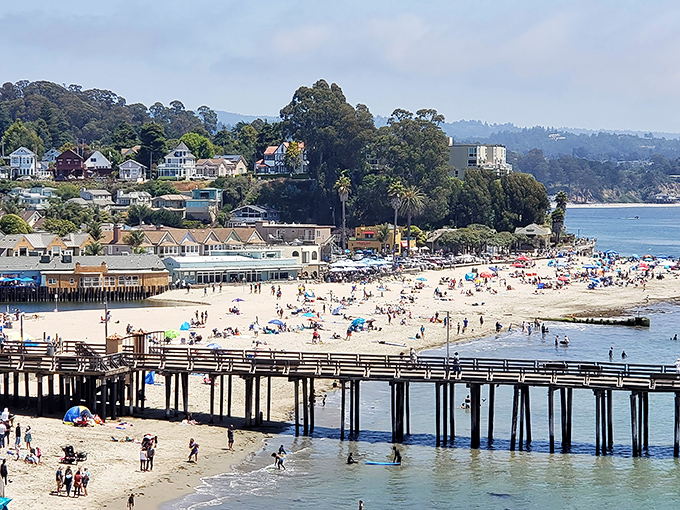 Capitola Beach transforms into a vibrant patchwork quilt of umbrellas and towels, with the iconic wharf standing sentinel over sun-seekers and wave-chasers.