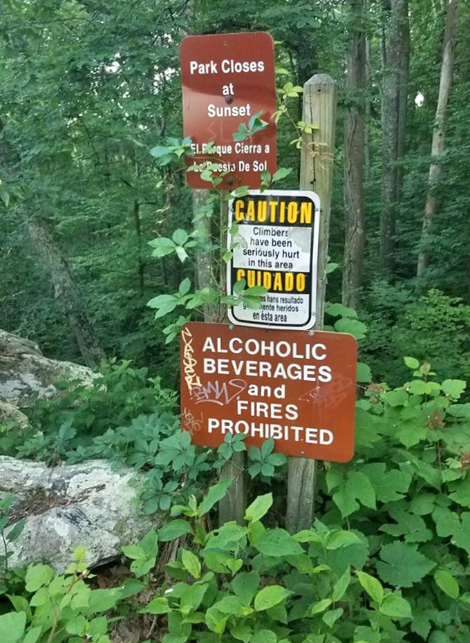 Park rules exist for good reason&mdash;gravity doesn't negotiate. The sign might as well read: "Don't turn your vacation into a hospital visit."
