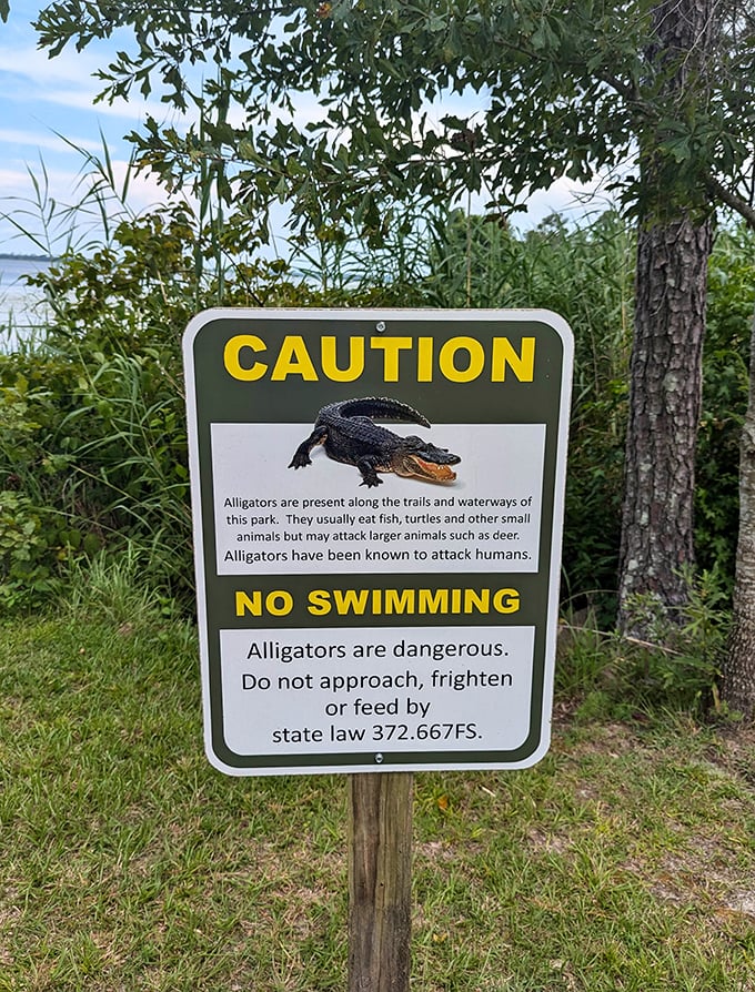 The only notification you need to worry about in the park &ndash; a friendly reminder that some residents have teeth and aren't interested in selfies.