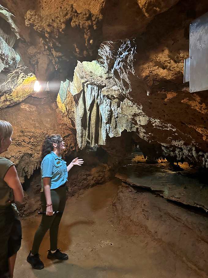 A park ranger reveals the secrets of stone. These passionate guides transform geological facts into fascinating stories about Florida's hidden depths.