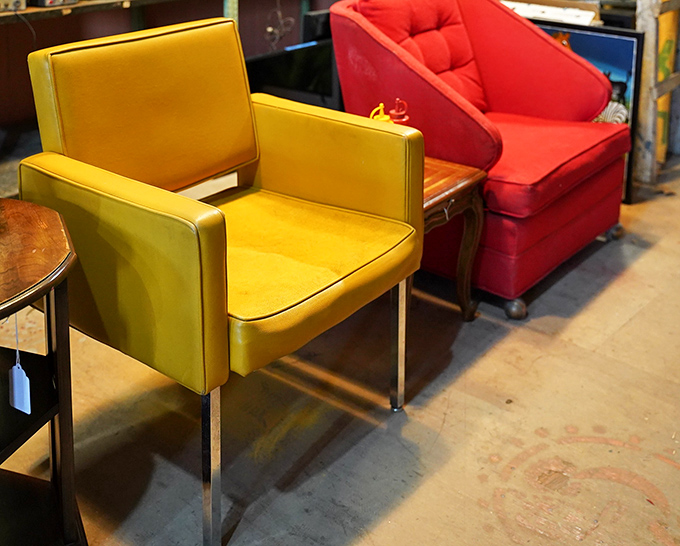Mid-century chairs in conversation-starting colors—that mustard yellow number is practically begging to become the statement piece in your living room.