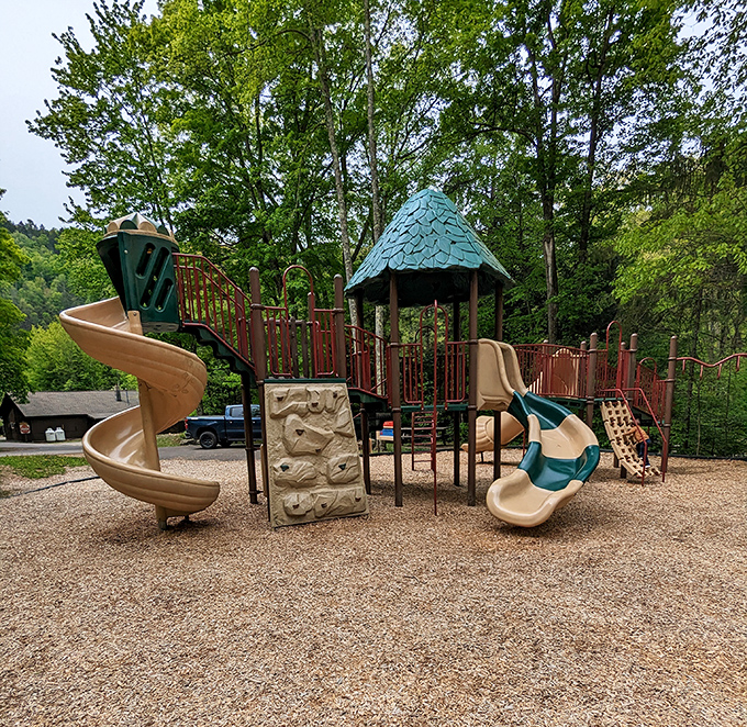 Where kids trade screen time for green time! This playground offers natural highs and adventure without requiring a Wi-Fi password. 