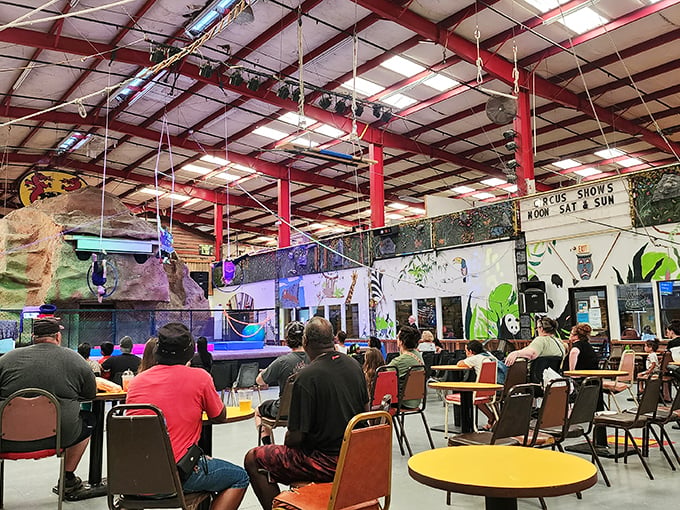 Entertainment central! The market's performance area hosts shows that transform shopping breaks into unexpected moments of family-friendly amusement.
