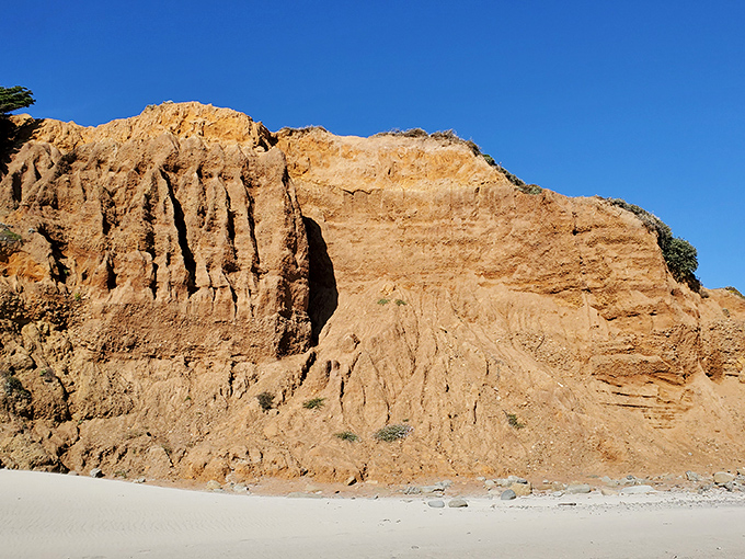 These towering sandstone cliffs showcase millions of years of geological artistry in every colorful layer.