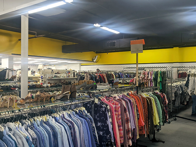 The clothing section stretches as far as the eye can see, a rainbow of fabrics organized by color for the serious fashion treasure hunter.
