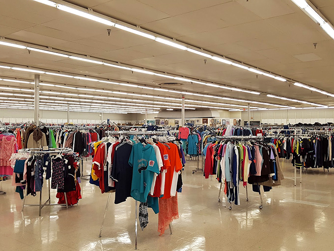 The clothing section stretches toward the horizon like a textile sea. Somewhere in those racks lurks a designer gem at sandwich prices.
