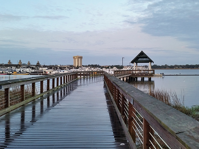 The newly renovated pier stretches toward blue infinity, a wooden runway for daydreamers and fishing enthusiasts alike.