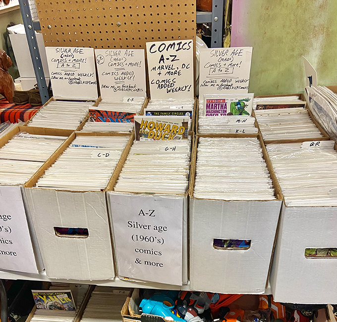 Silver Age comics meticulously organized for serious collectors. Each white box contains someone's childhood memories, now worth considerably more.