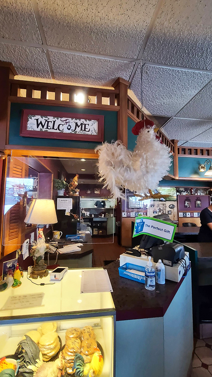 The counter where regulars perch like birds on a wire, watching the coffee magic happen while trading stories about the neighborhood.