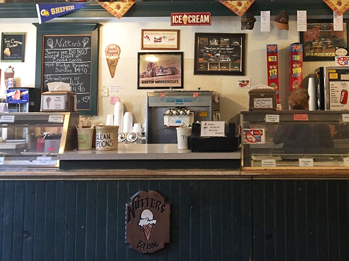 Behind every scoop is a person who understands the sacred responsibility of ice cream service. These aren't just employees&mdash;they're joy merchants.