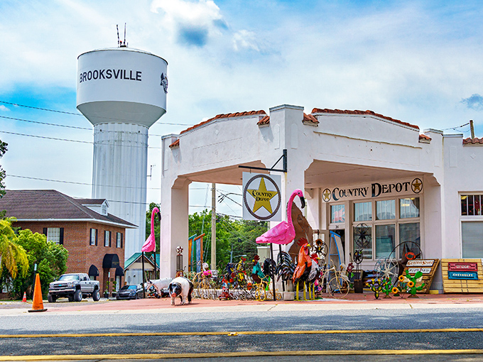 The Country Depot and iconic water tower create that perfect small-town tableau where flamingo lawn ornaments meet practical Americana.