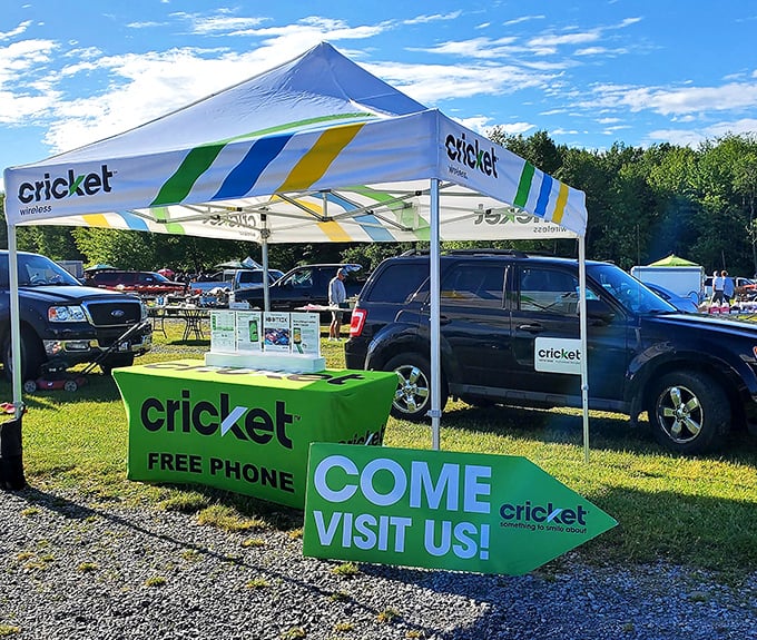 Even modern technology finds its place among the vintage treasures, proving that flea markets evolve while maintaining their treasure-hunting soul.