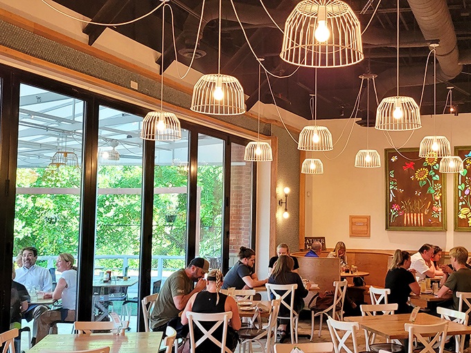 Natural light floods the dining room where strangers become friends over shared biscuit revelations.