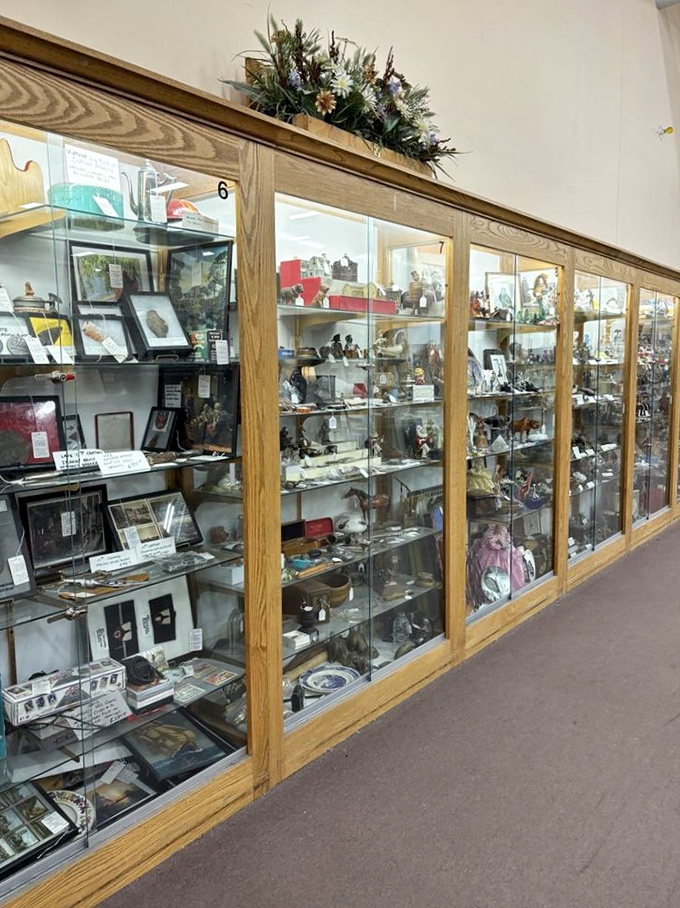 Behind glass, miniature worlds await discovery. Each shelf a museum where the ordinary becomes extraordinary through the lens of time.