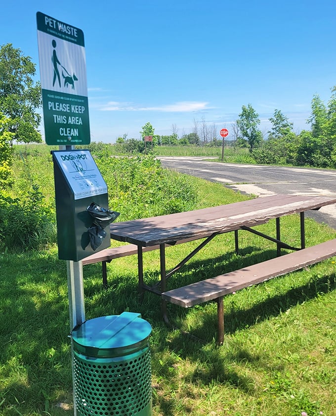 Even in nature, responsible pet ownership matters. This thoughtful station ensures four-legged explorers leave only paw prints, not packages.