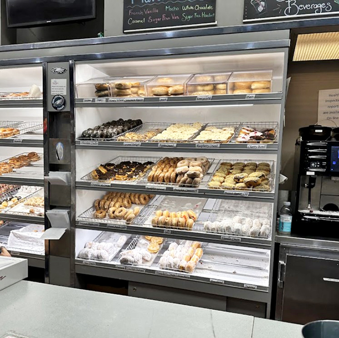 The display case &ndash; a museum of edible art where every shelf tells a different sweet story. Choose your own adventure!