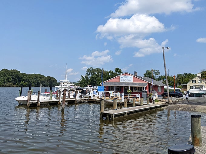 Easton Point Marina connects the town to its watery surroundings, where boats bob gently like exclamation points at the end of nature's sentences.