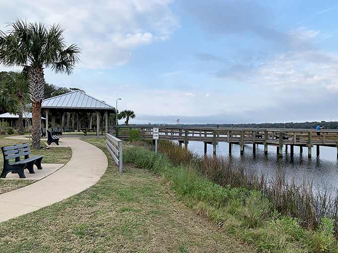 Nature's boardwalk invitation to slow down and notice the marshland magic&mdash;where every bench offers front-row seats to a constantly changing watercolor.
