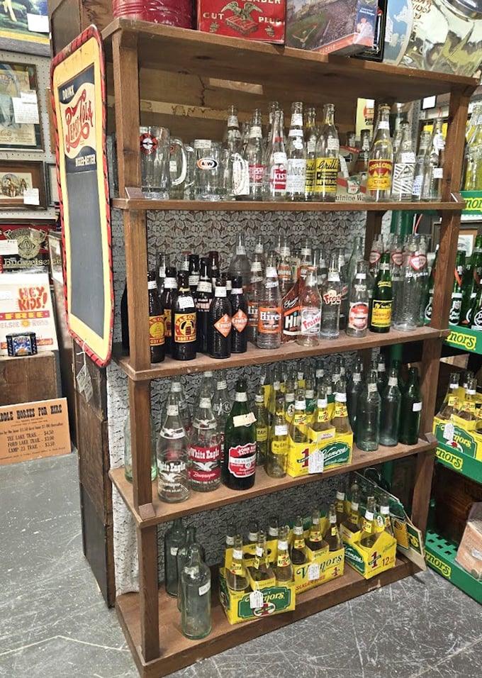 These vintage bottles once contained everything from soda to snake oil, now transformed into conversation pieces for modern homes.