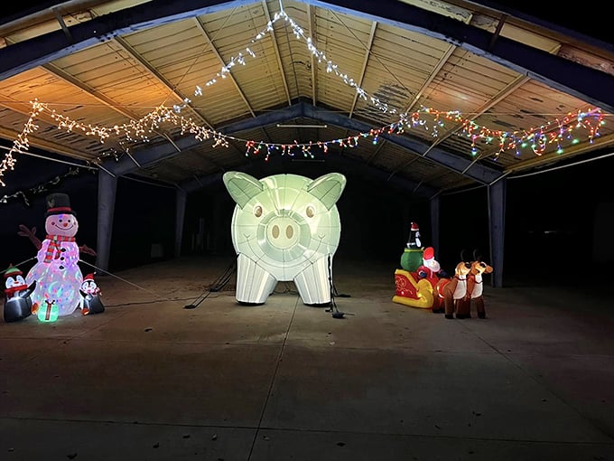 The Festival of Lights transforms ordinary spaces into magical wonderlands, proving small towns know how to create big holiday spirit.