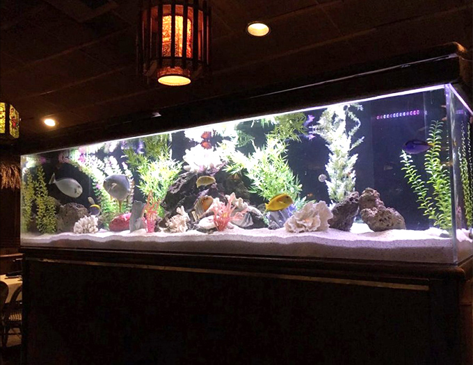 Even the fish look relaxed at Damon's – swimming lazily in their illuminated aquarium while diners contemplate their seafood menu choices.