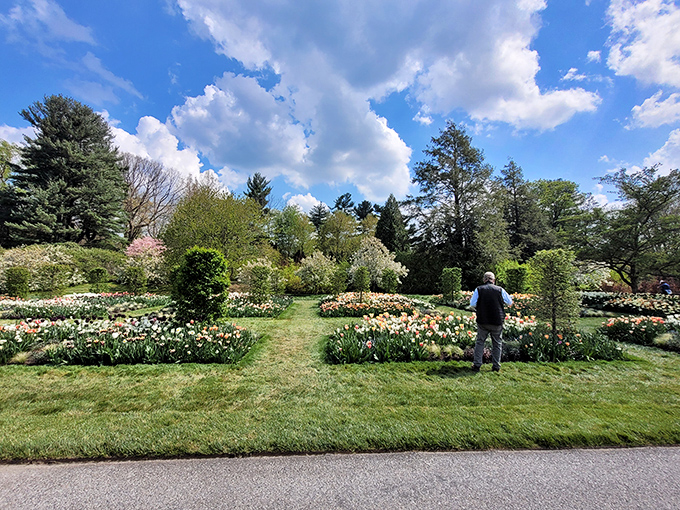 Spring's color palette explodes in this tulip garden. Mother Nature showing off her painterly skills while we mere mortals just try to keep our houseplants alive.