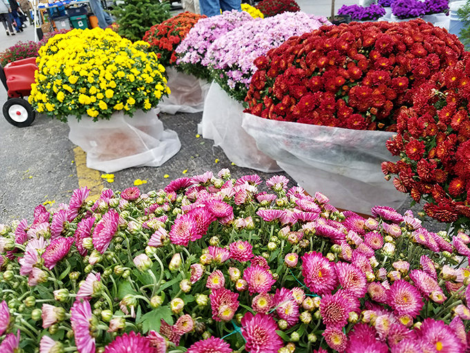 Bursts of seasonal color transform one corner of the market into an impromptu garden center, proving beauty can bloom even in a parking lot.