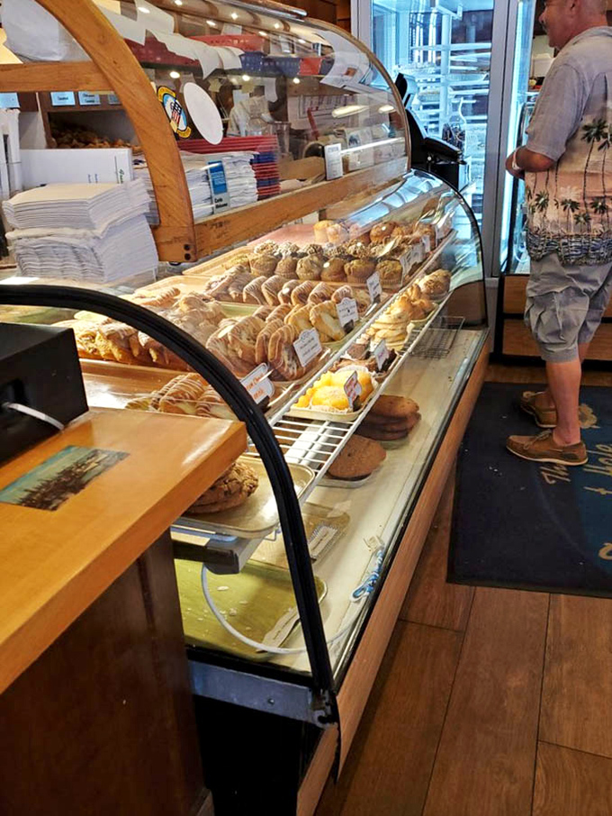 Pastry heaven behind glass&mdash;where willpower goes to die and vacation calories don't count. Each shelf offers a different path to happiness, all equally justified.