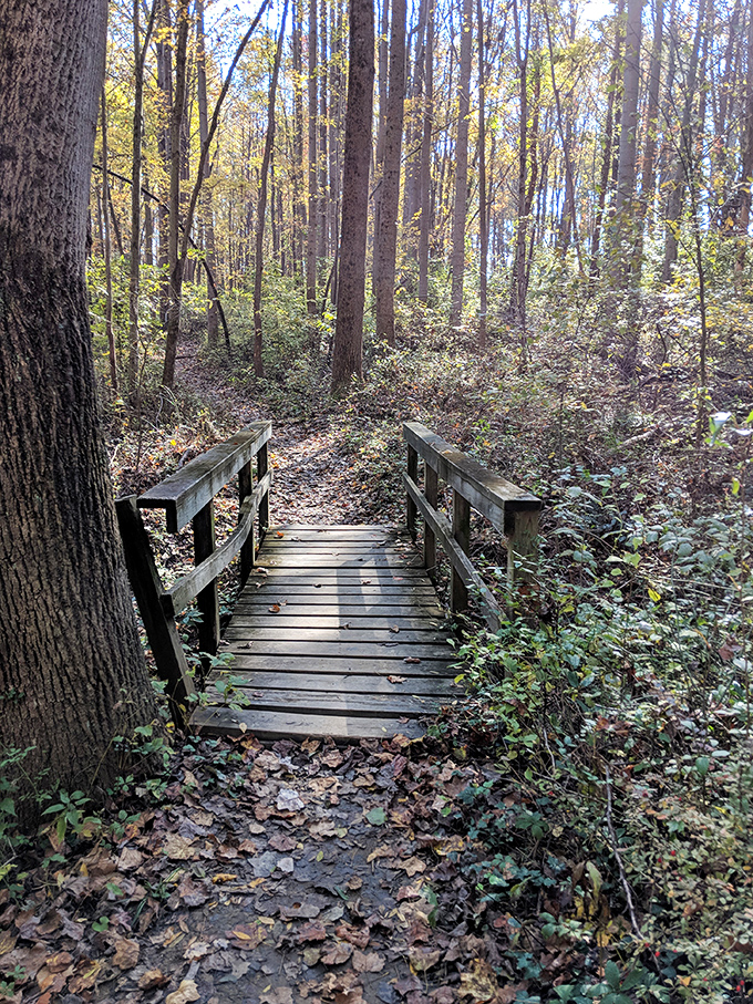 Not all bridges demand attention. This humble footpath offers a quiet counterpoint to its famous red neighbor just up the trail.