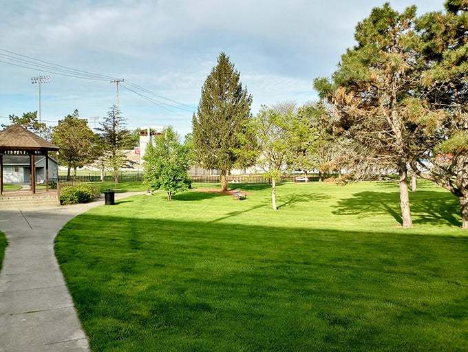 Comfort Inn offers weary travelers a respite where the Wi-Fi actually works and the breakfast waffle maker becomes the morning's main attraction.