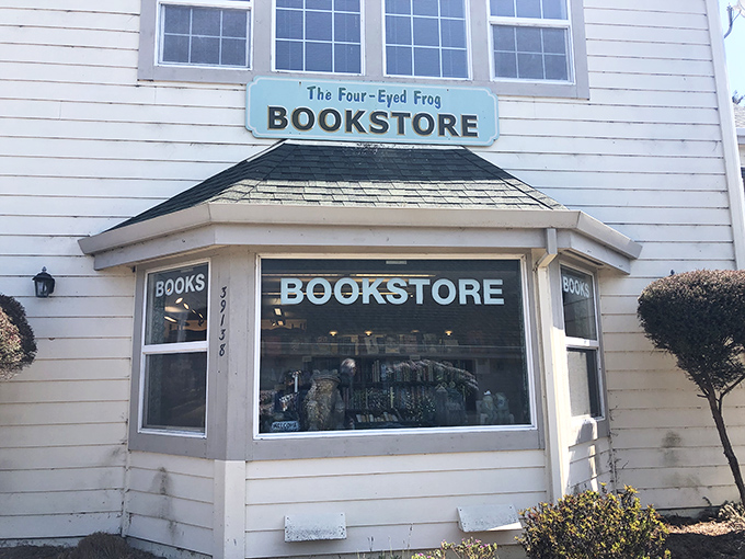The Four-Eyed Frog Bookstore offers literary salvation in a digital world &ndash; browse actual paper books while fog rolls in outside.